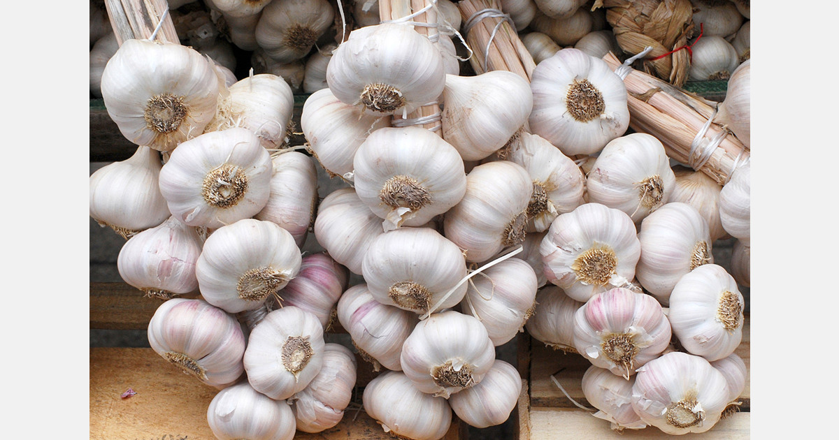 Garlic imports to Georgia soar in 2024
