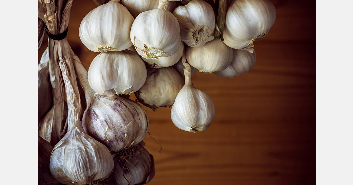 Spanish garlic faces increasing international competition