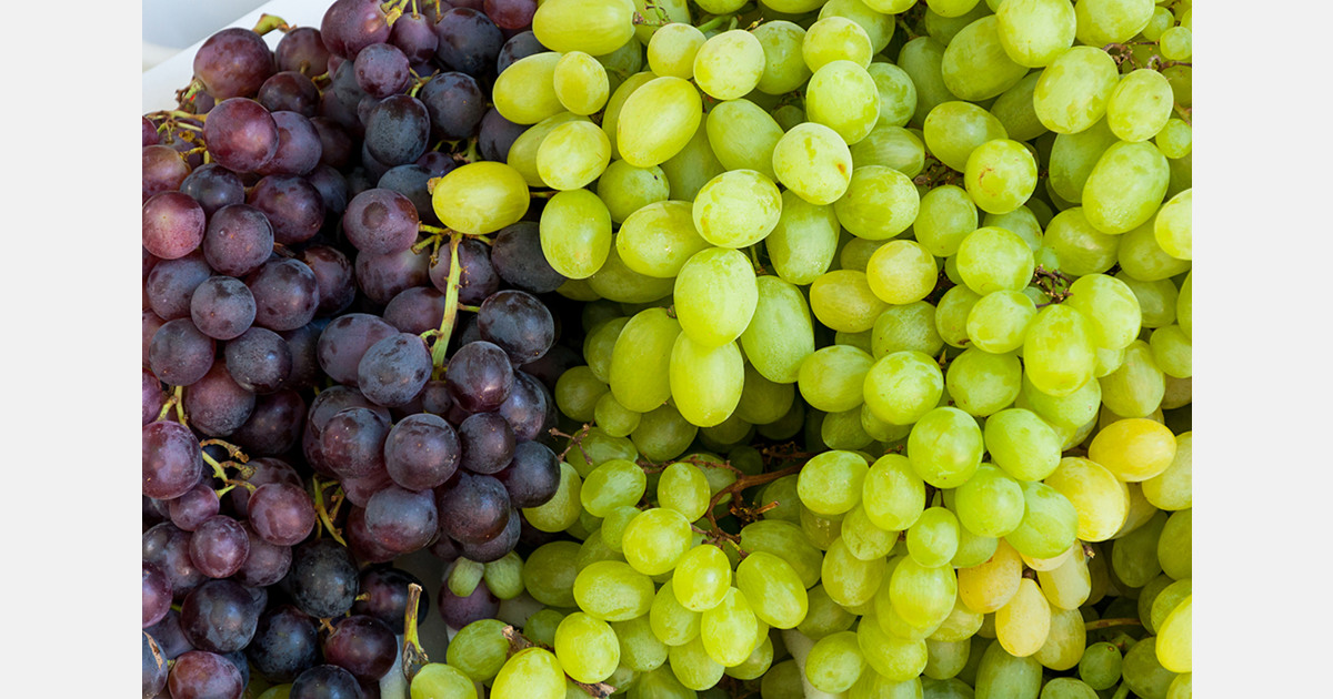 Heat wave impacts California table grape supply