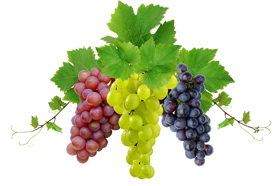 Fruit (grapes)