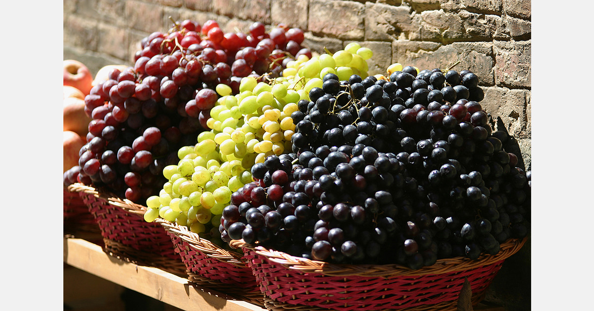 Cape Town upgrades raise hopes for smoother grape exports