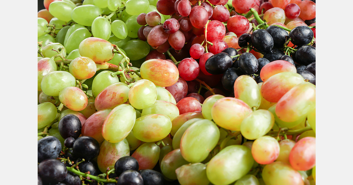Kandahar begins grape exports to Pakistan amid tariff cuts