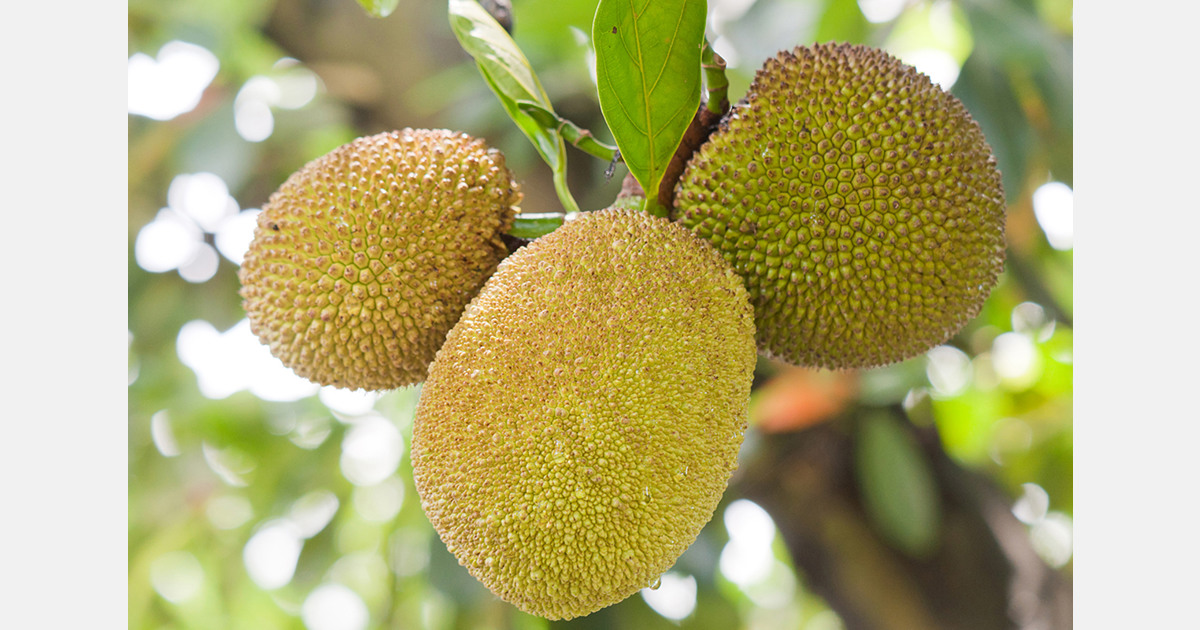 Australian researchers and retailers team up to launch ready-to-eat ...