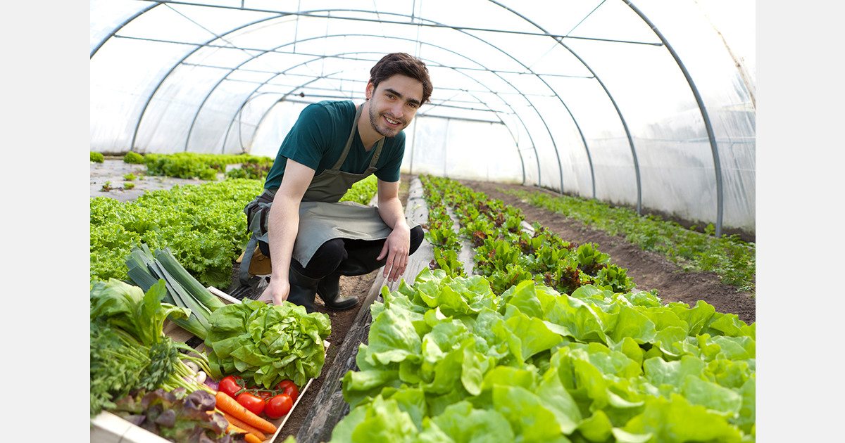 NFU secures win for Seasonal Workers Scheme