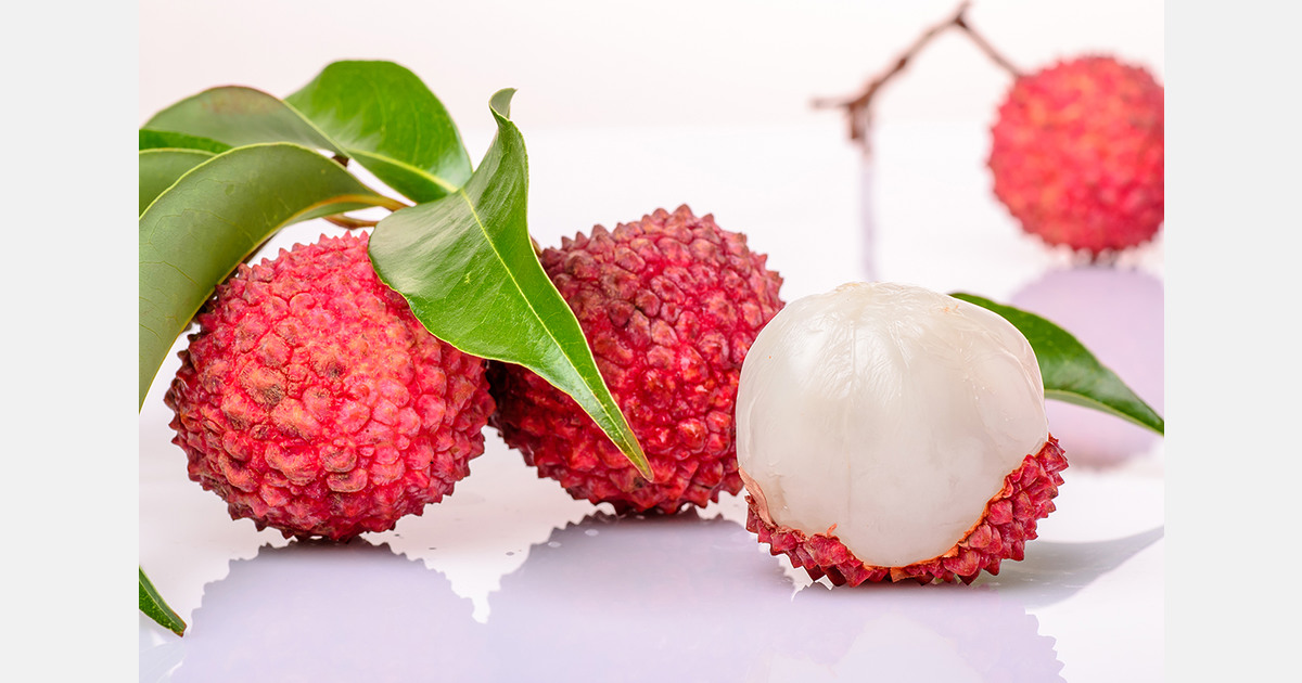 Chinese drama sparks lychee boom in tourism and sales