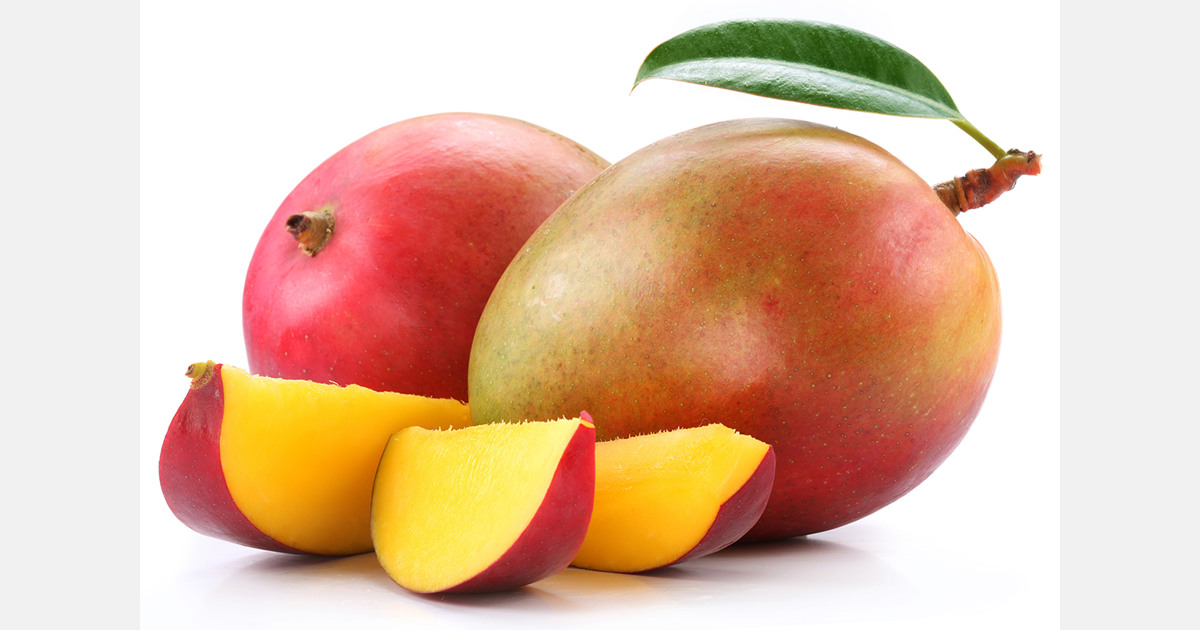 Brazilian mango exports set a new record in 2023