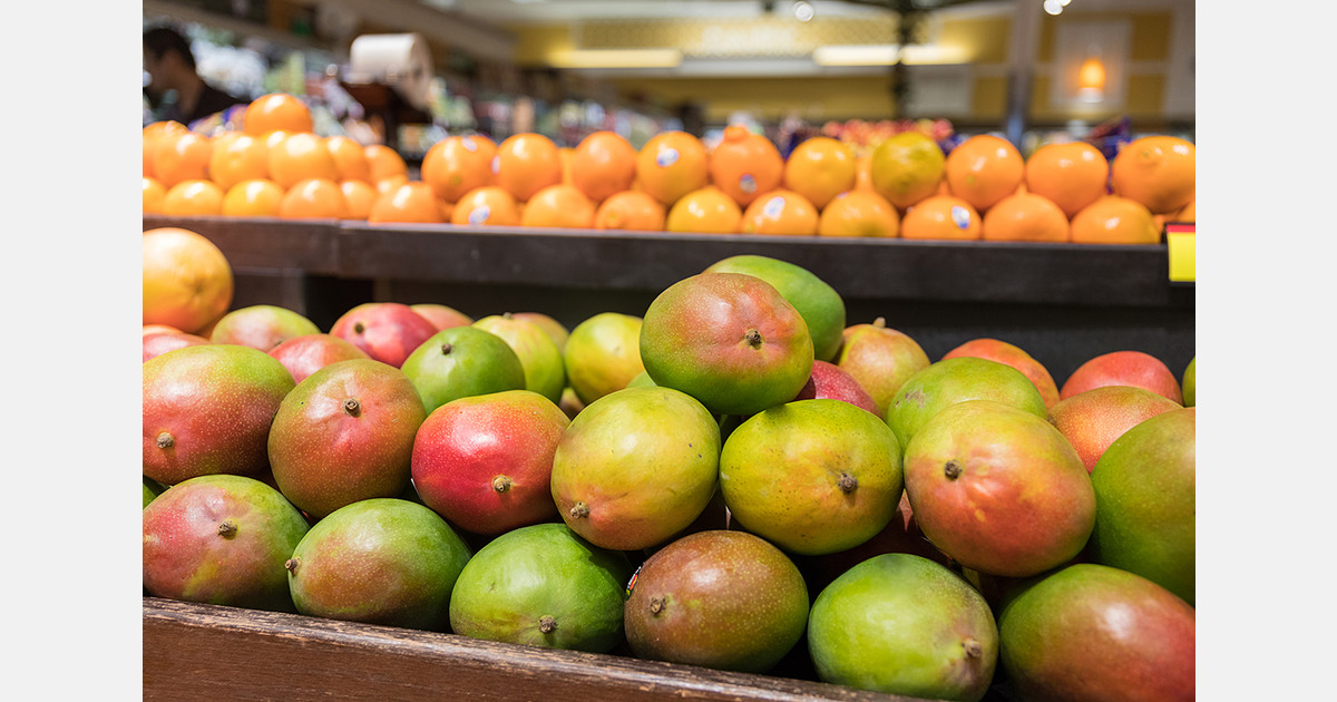 Myanmar mango arrivals reach 300 tons a day at Wanding Port