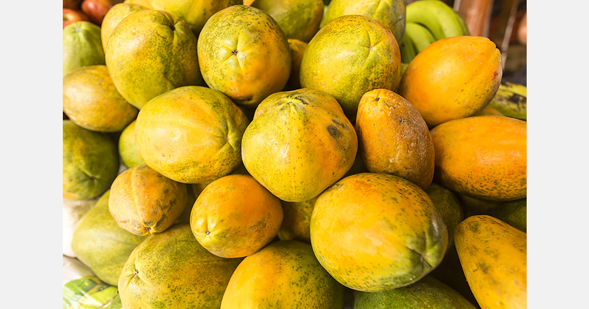 Pakistani mangoes reach China