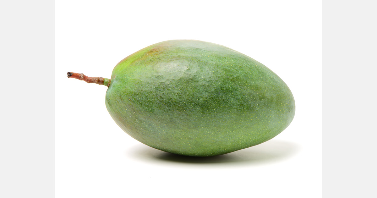 An giang's mangoes make their way to South Korea