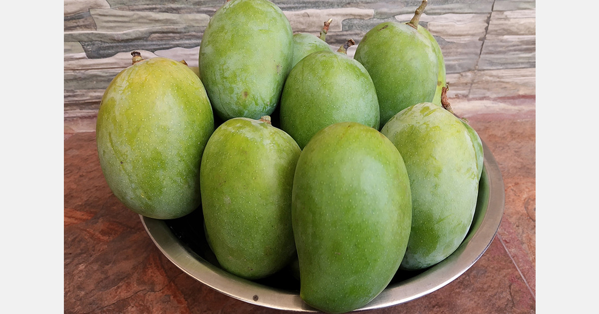 Ghana announces minimum producer price for mangoes