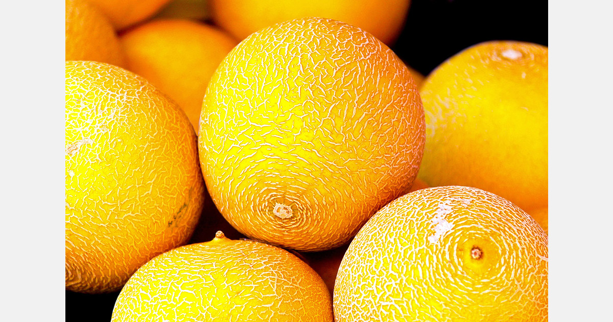 Brazilian melon exports up 25% in 2025