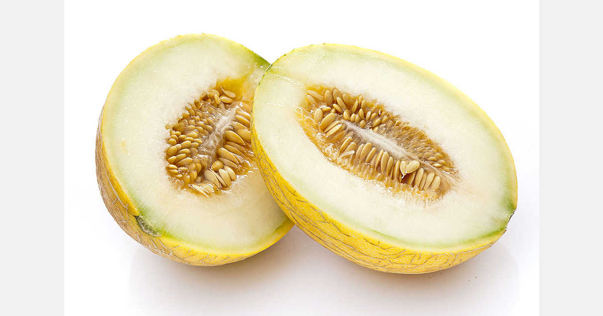 Early melon harvest begins in Surxondaryo: Local sales and exports start