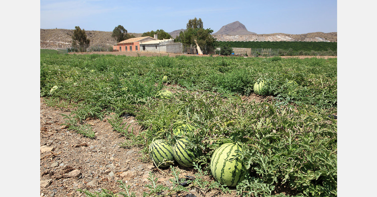 Morocco wants to equip one million hectares with localized irrigation ...