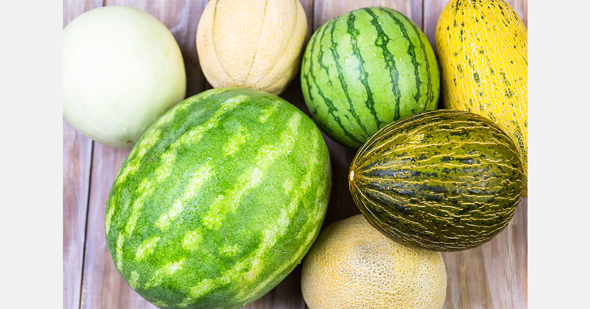 Uzbekistan boosts melon and grape production, watermelon exports up sharply in 1H of 2025