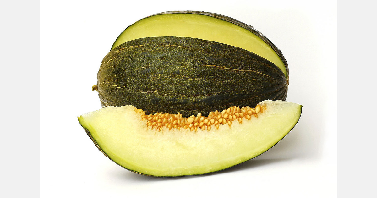 "Melon and watermelon prices are not reasonable from the producer's ...