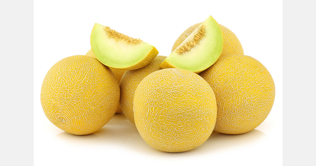 Melon prices in Ukraine sees significant increase