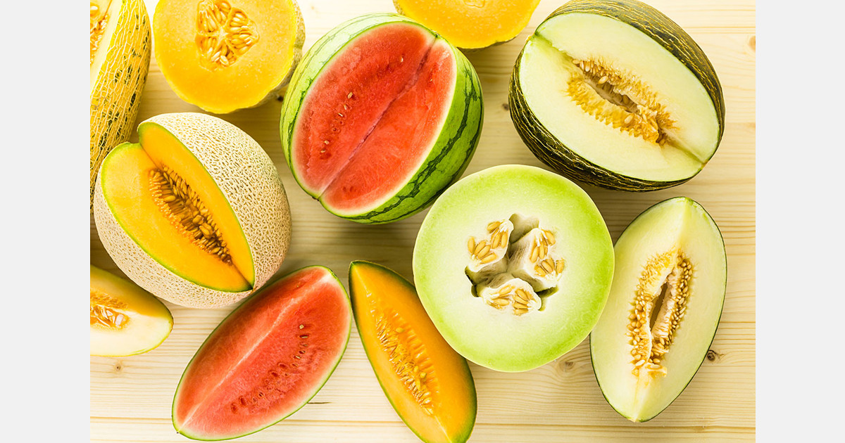 Ministry of Kyrgyzstan provides support for export of melon crop