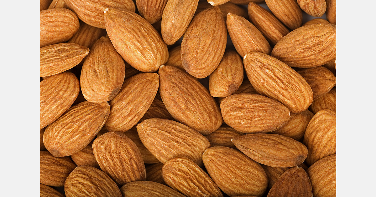 USDA forecasts 2.8B lbs of California almonds in 2025