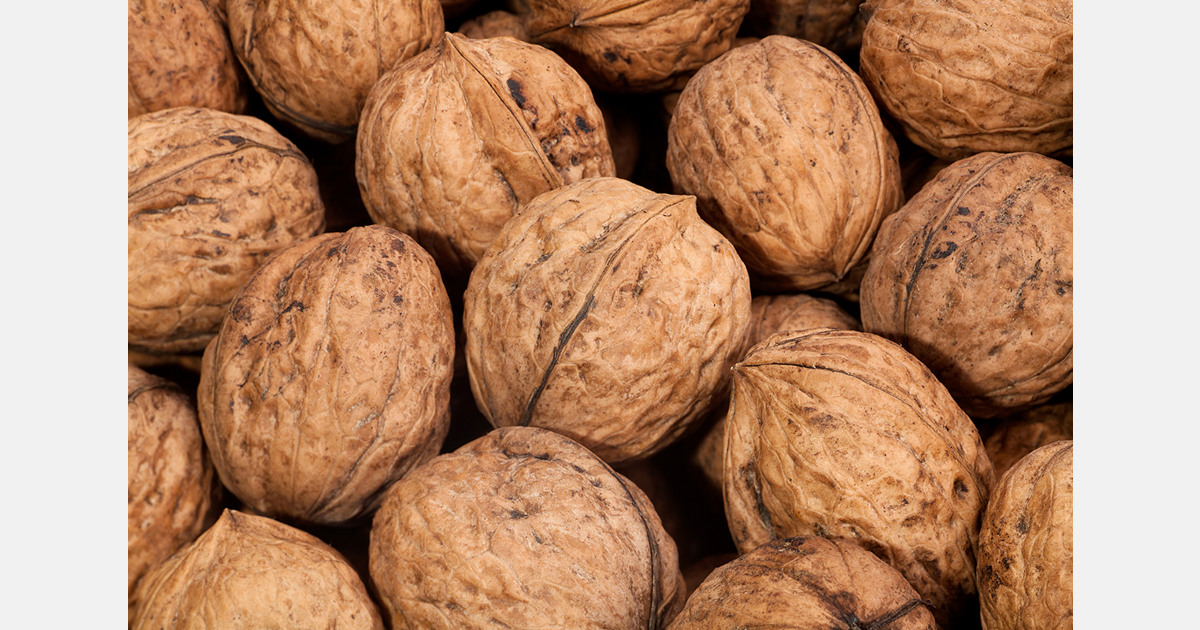 Moldova doubles walnut exports to the EU