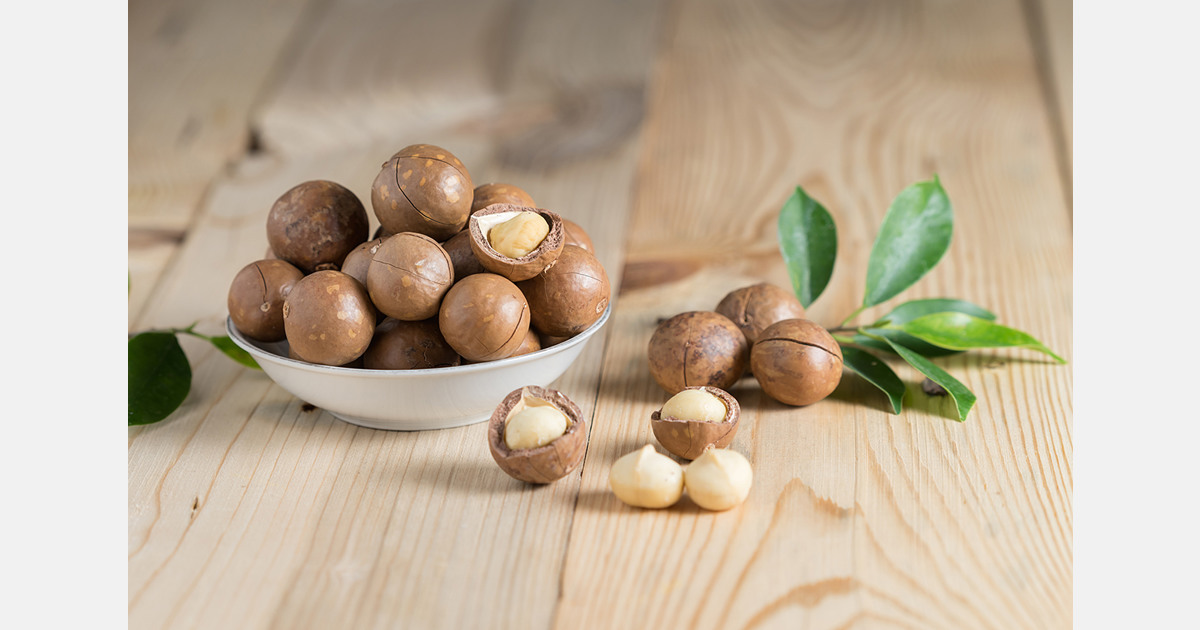 Australia's hazelnut industry uses robotic dogs and research to boost ...