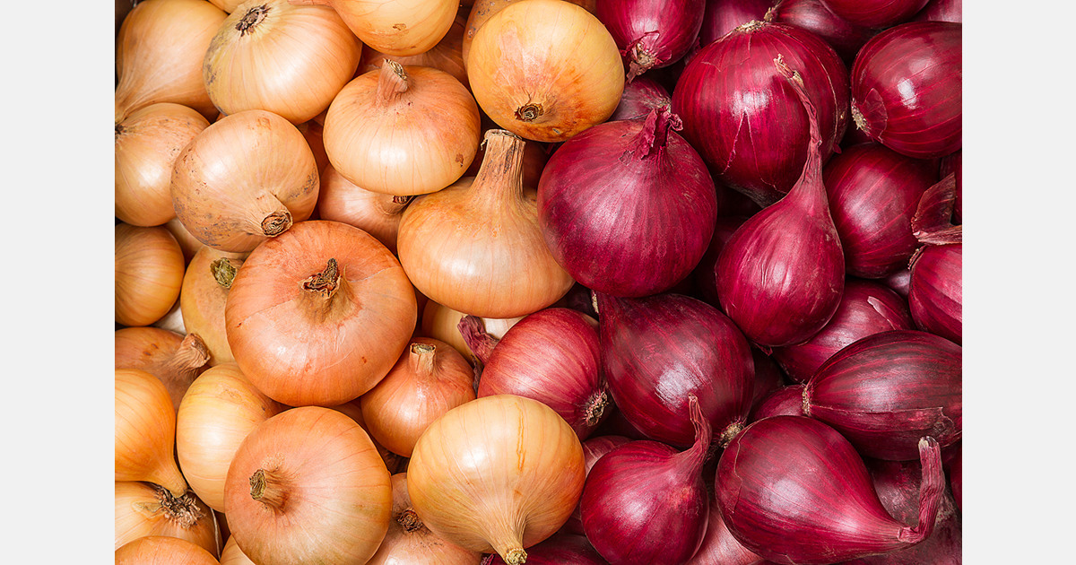India starts onion procurement at $144 per ton