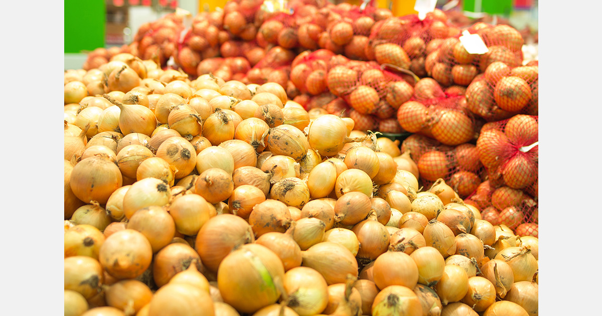 Ukraine sees 38% spike in onion prices amid harvest woes and rising costs