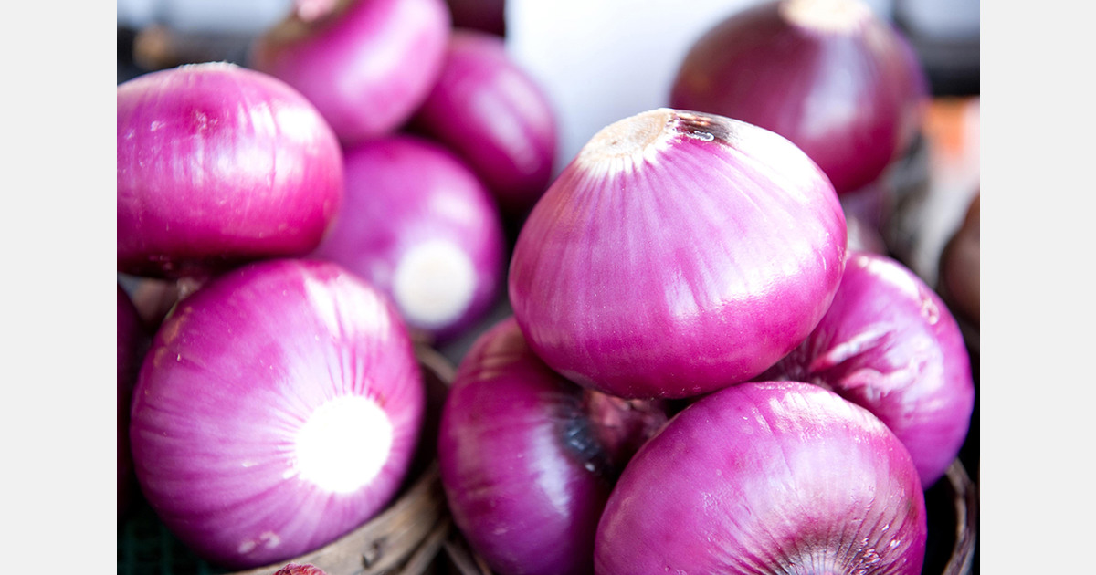 Pakistan: Onion exports have exceeded $210 million for the first time