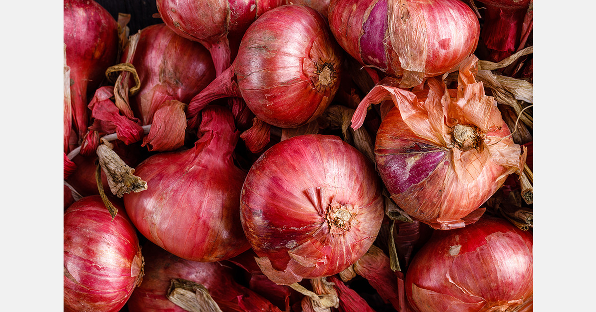 Onion shortage anticipated in Pakistan