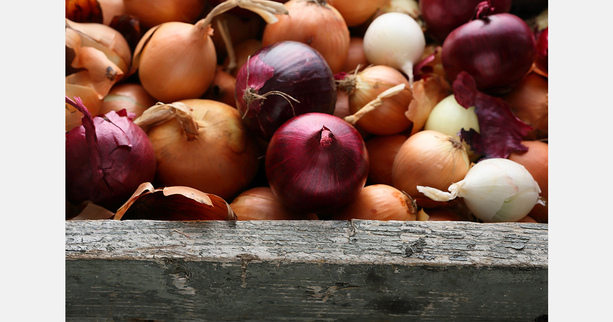 India plans expanded bulk onion storage with technology after Sonipat ...