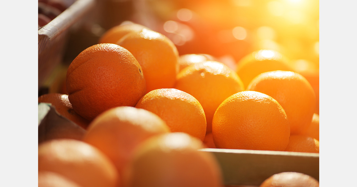 Brazil drives 50% drop in orange juice prices