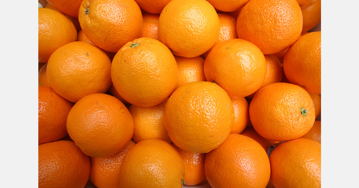 California Valencia orange forecast at 15 million cartons