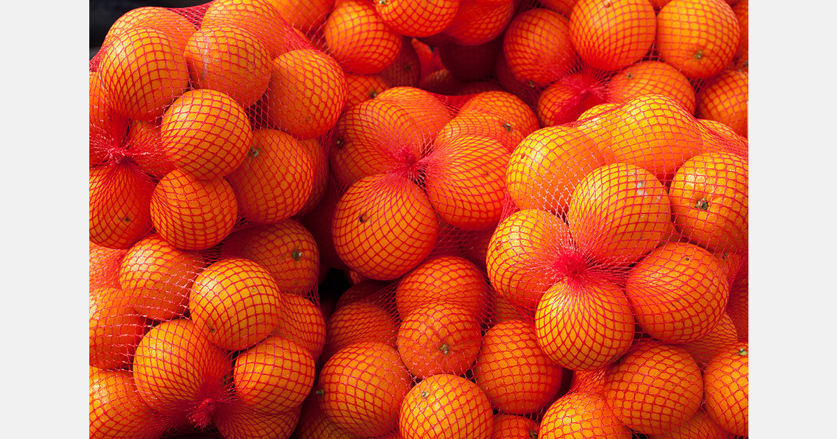 Pakistani oranges make landmark journey to Russia