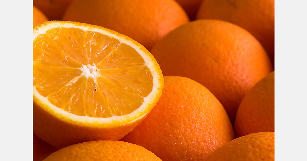 Chile plans to export 11% more citrus this season