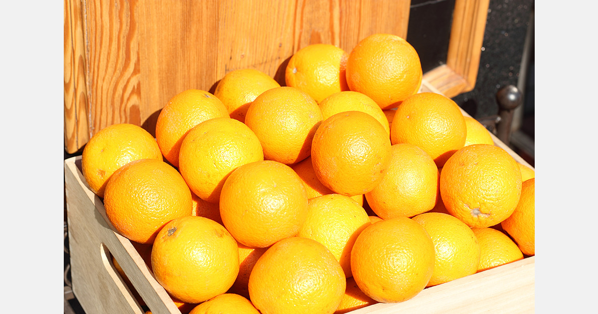 Tunisian citrus fruit exports reached TND 22 million by 11 March 2024