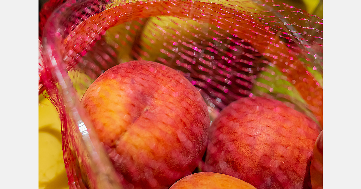 "Prices of small-sized nectarines plummet at the start of the Catalan ...