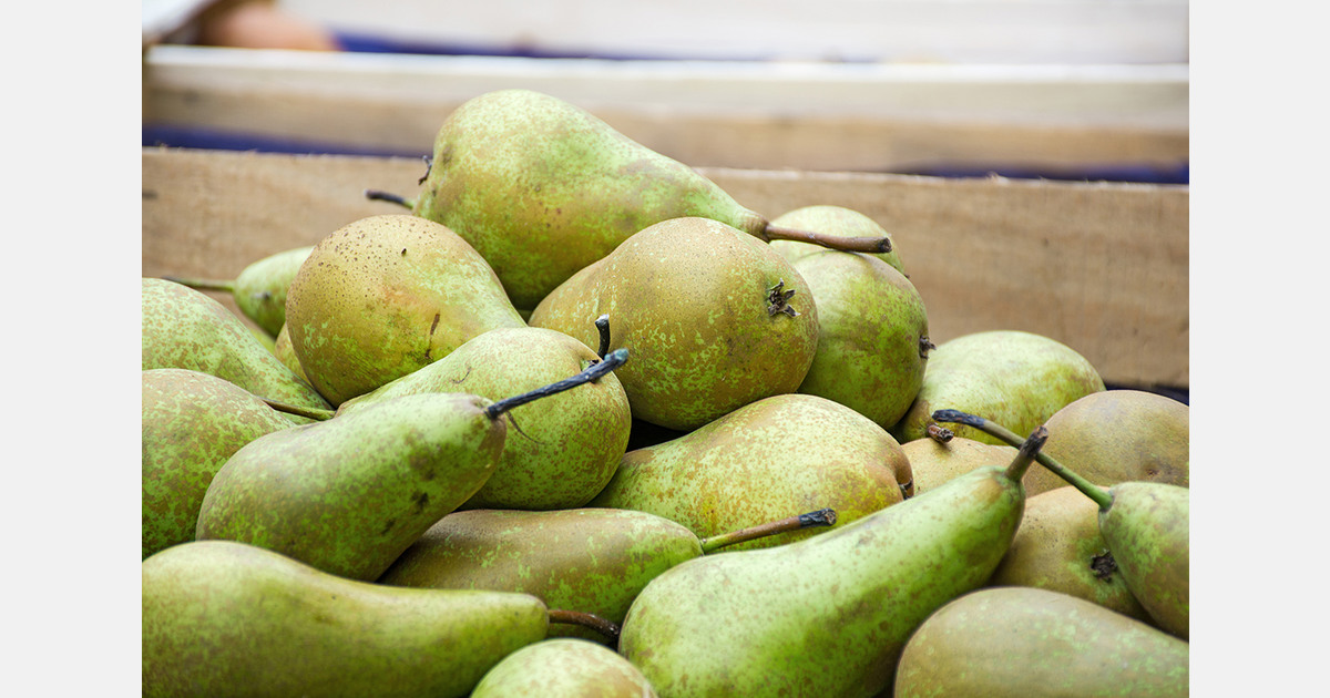 U.S. pear growers face challenges after Del Monte closure