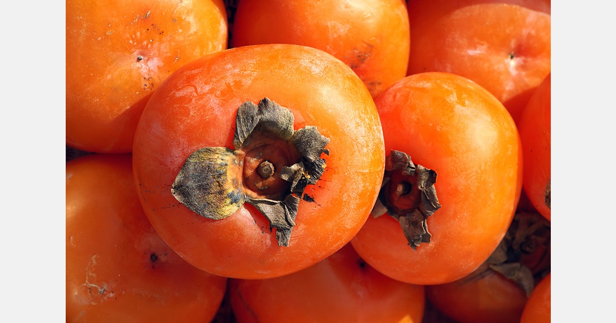 More small persimmons from California this season