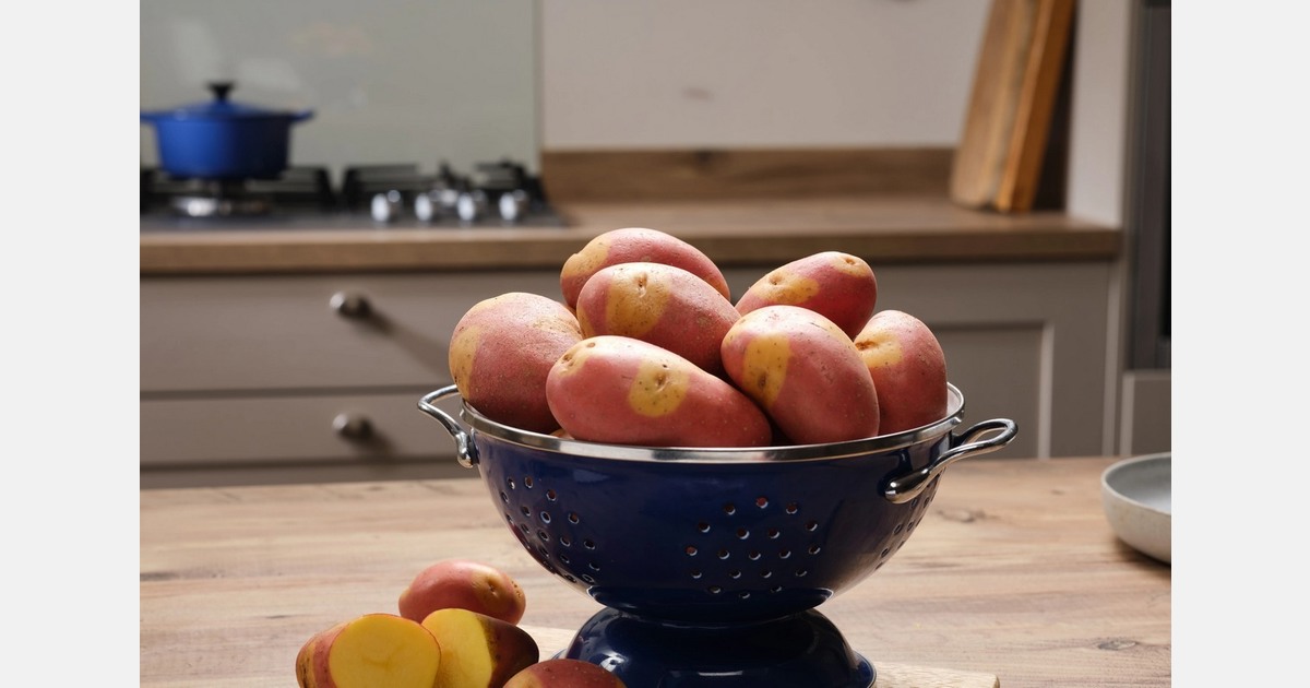 Tesco expands cultivation of energy-efficient Nemo potatoes due to ...