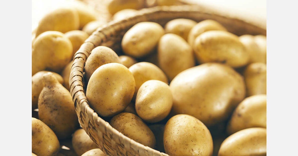 West Bengal sets potato MSP at $10.80