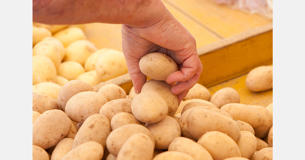 Branston launches Nanna Tate potato brand to modernize classic dishes