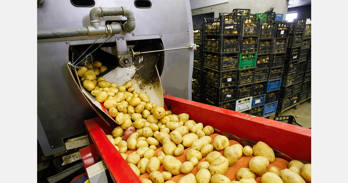 Cavendish Farms invests $150M to expand Jamestown potato plant and ...