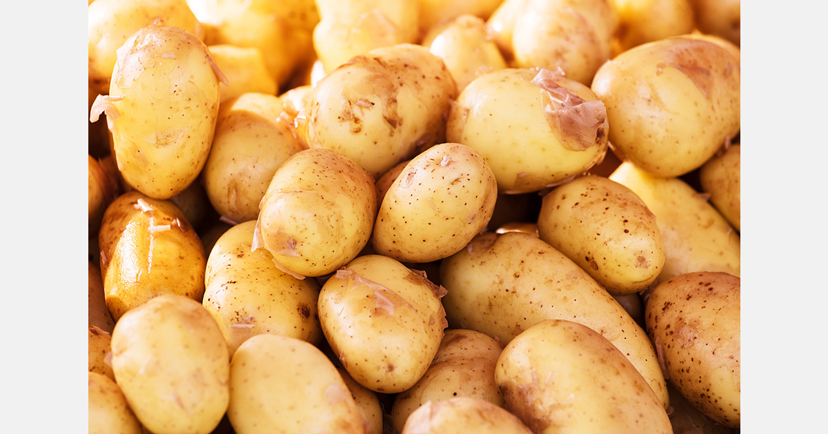 Potatoes USA and Tamimi boost U.S. potato sales in Saudi Arabia