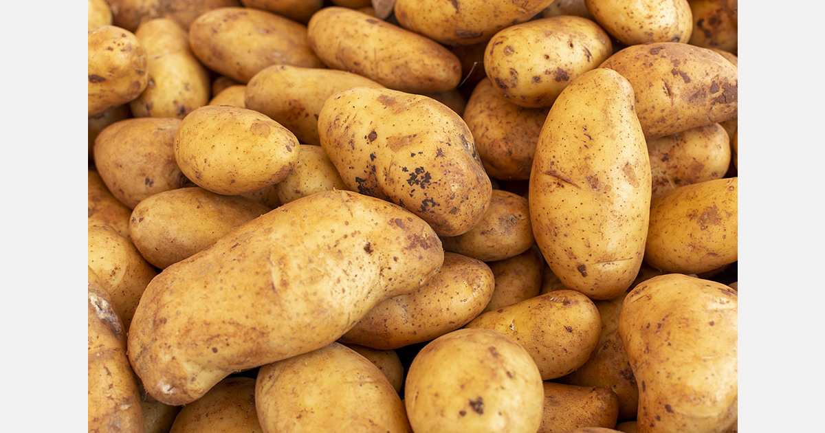 Israel faces potential potato shortage