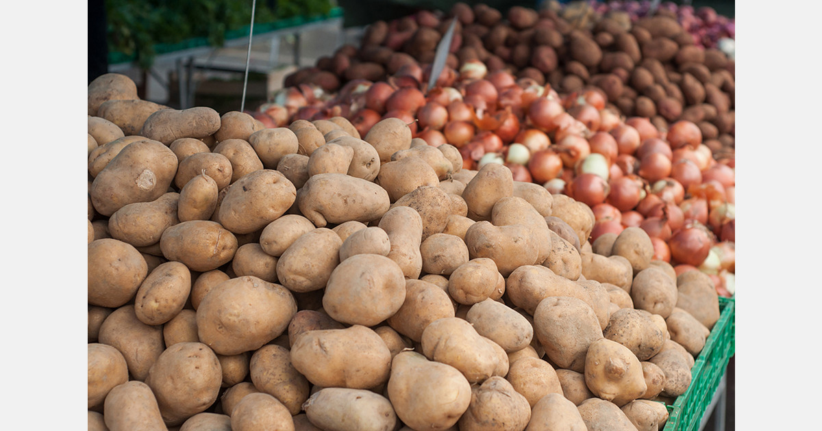 Bangladesh's potato exports surge to 55,000 tons
