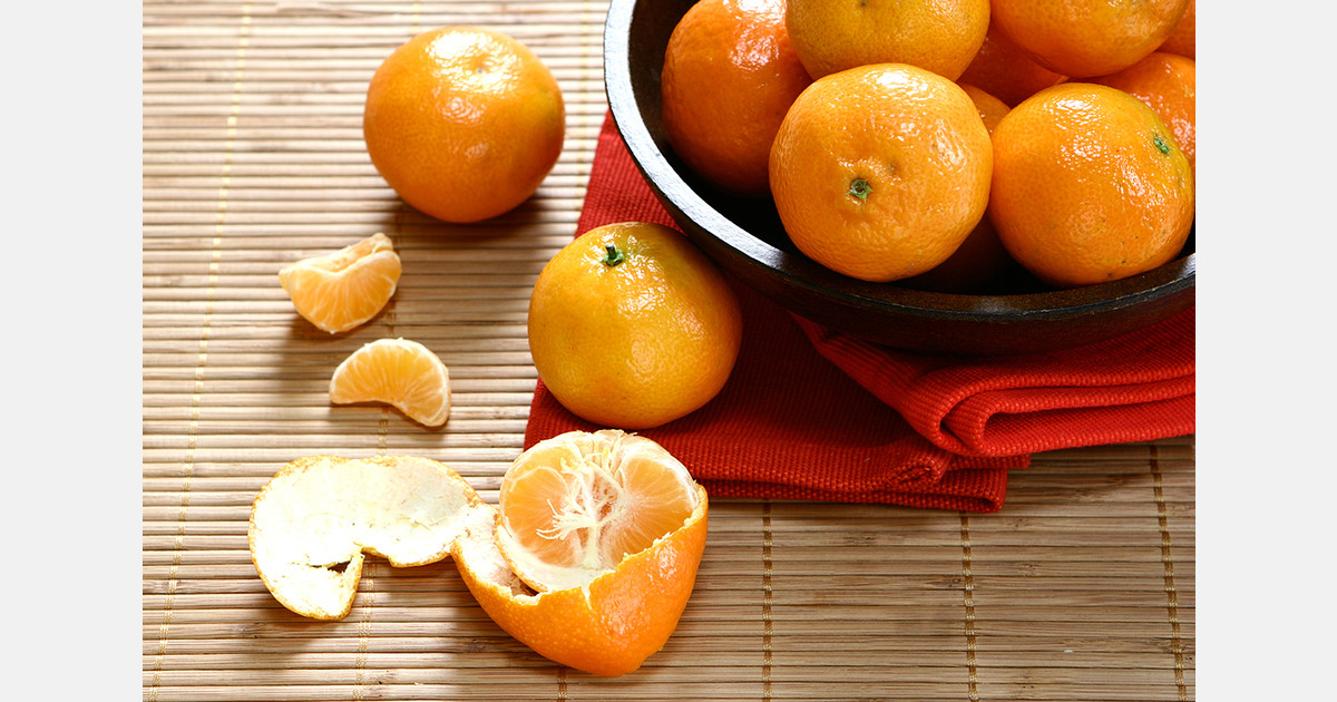 North Florida and South Georgia growers remove satsuma trees