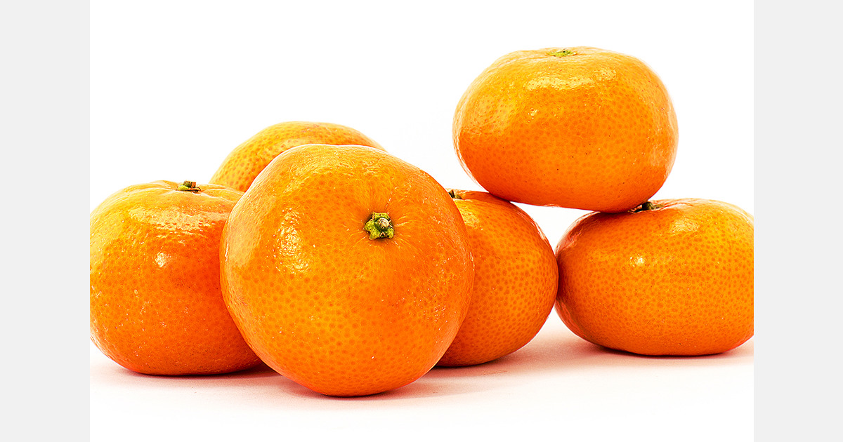 Big satsuma yield expected in Georgia