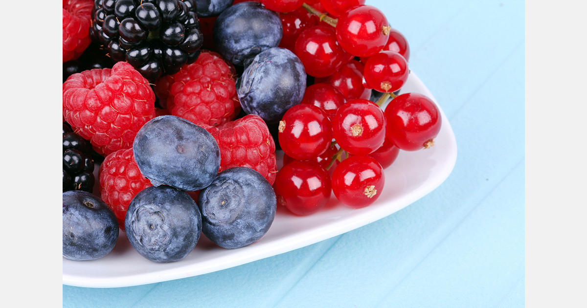 Prosper Africa supports $15.2M investment in Moroccan red fruit and ...