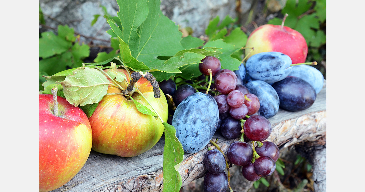 Fruit trends 2024: apples, pears, and grapes down; blueberries up