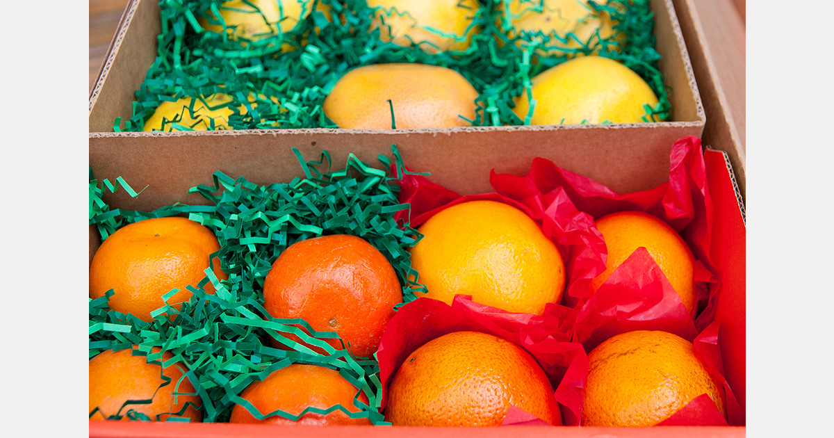 Kyrgyzstan imported 127,000 tons of citrus fruits in the nine months of ...