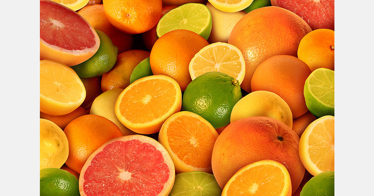 Ian Albers takes over as chairman of Citrus NZ in Gisborne